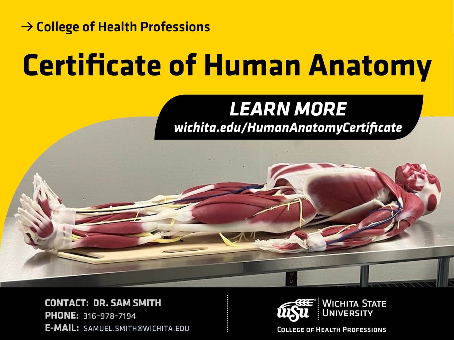 College of Health Professions announces certificate of human anatomy ...