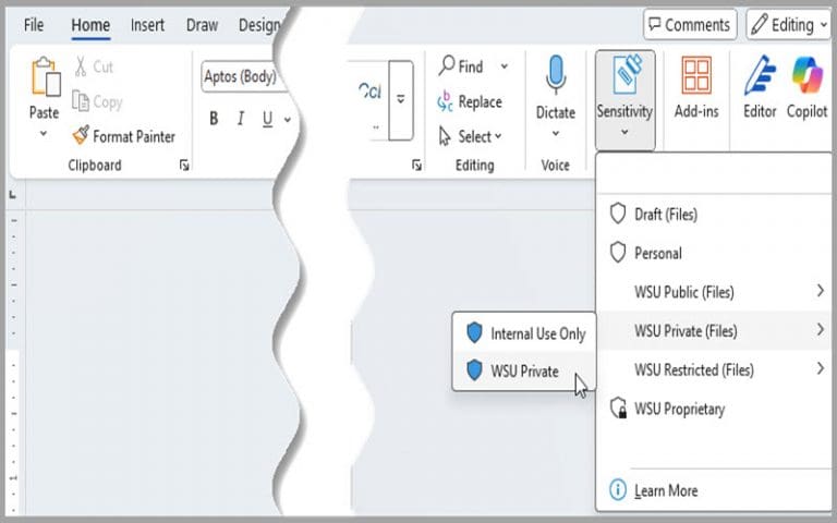 Data sensitivity labeling is now available for all users – WSU Newsletters